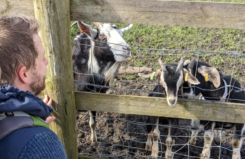 Community farm faces cash crisis - Kingswood Voice